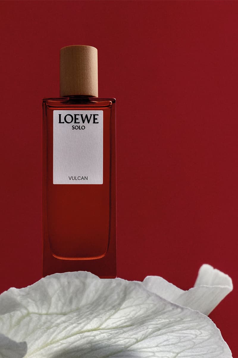 LOEWE's New Fragrances Feature Exclusive Note | Hypebae