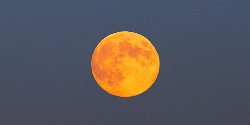 November 2024 Beaver Full Moon Horoscope | Hypebae