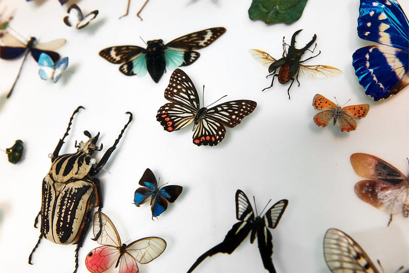 Essentials: 조기석 | Hypebeast.KR | 하입비스트