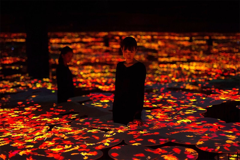 「teamLab borderless」東京數碼藝術美術館冬季新作 - POPBEE