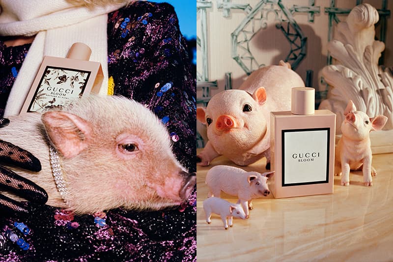 Gucci 推出 2019 豬年系列迎接農曆新年 - POPBEE