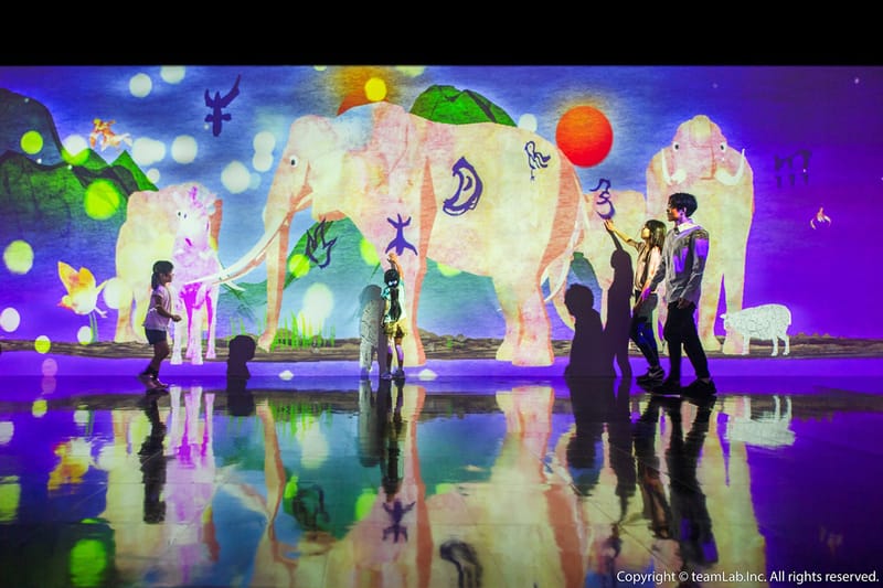 10 月登陸台灣！不用到日本也能享受 teamLab 互動藝術展 - POPBEE