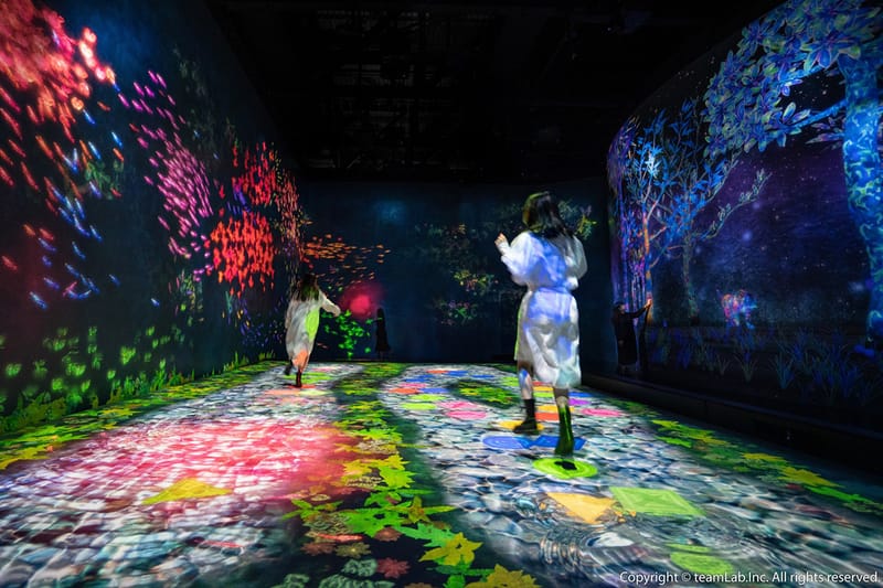 10 月登陸台灣！不用到日本也能享受 teamLab 互動藝術展 - POPBEE