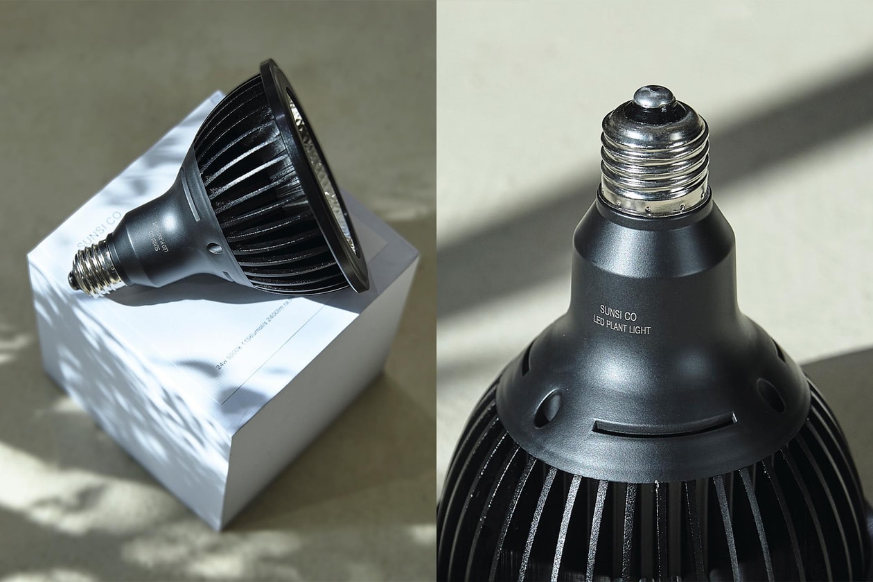 給點陽光就燦爛：打開玄躍辰時的自然奇跡，讓全光譜植物燈為塊根植物來場治癒日光浴吧！ - POPBEE