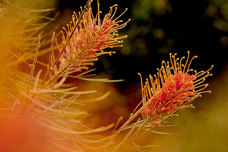 最高 CP 值入手方式：Aesop 最具風格的四家分店，成為年度禮盒的創作靈感！ - POPBEE