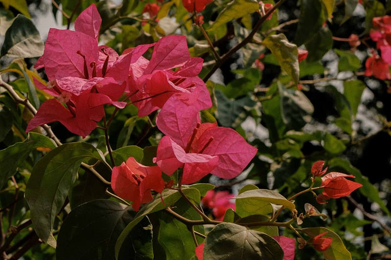 最高 CP 值入手方式：Aesop 最具風格的四家分店，成為年度禮盒的創作靈感！ - POPBEE