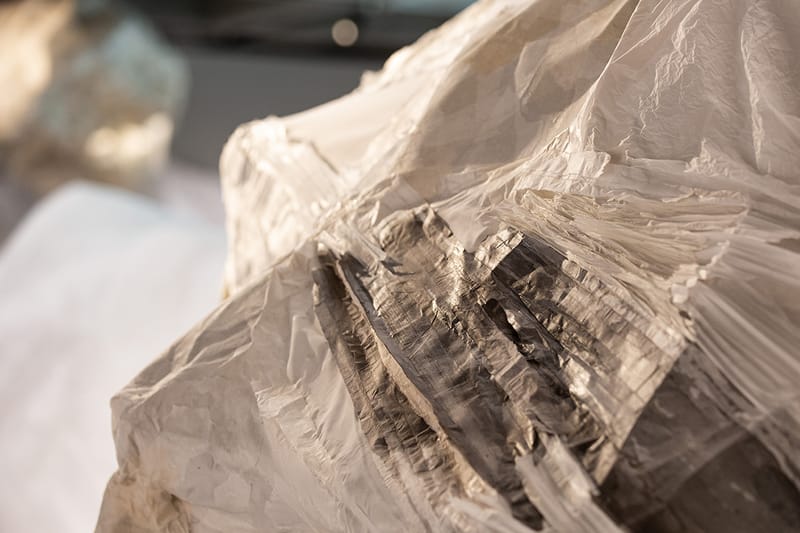 北美館的隱藏版空間展覽：或許也被你忽略的「崎 Heterogeneous」，以紙打造絕美山林景致。 - POPBEE