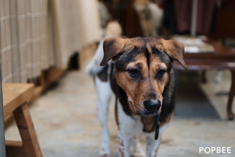 靜月：蘊藏著深刻故事的選物店 - POPBEE