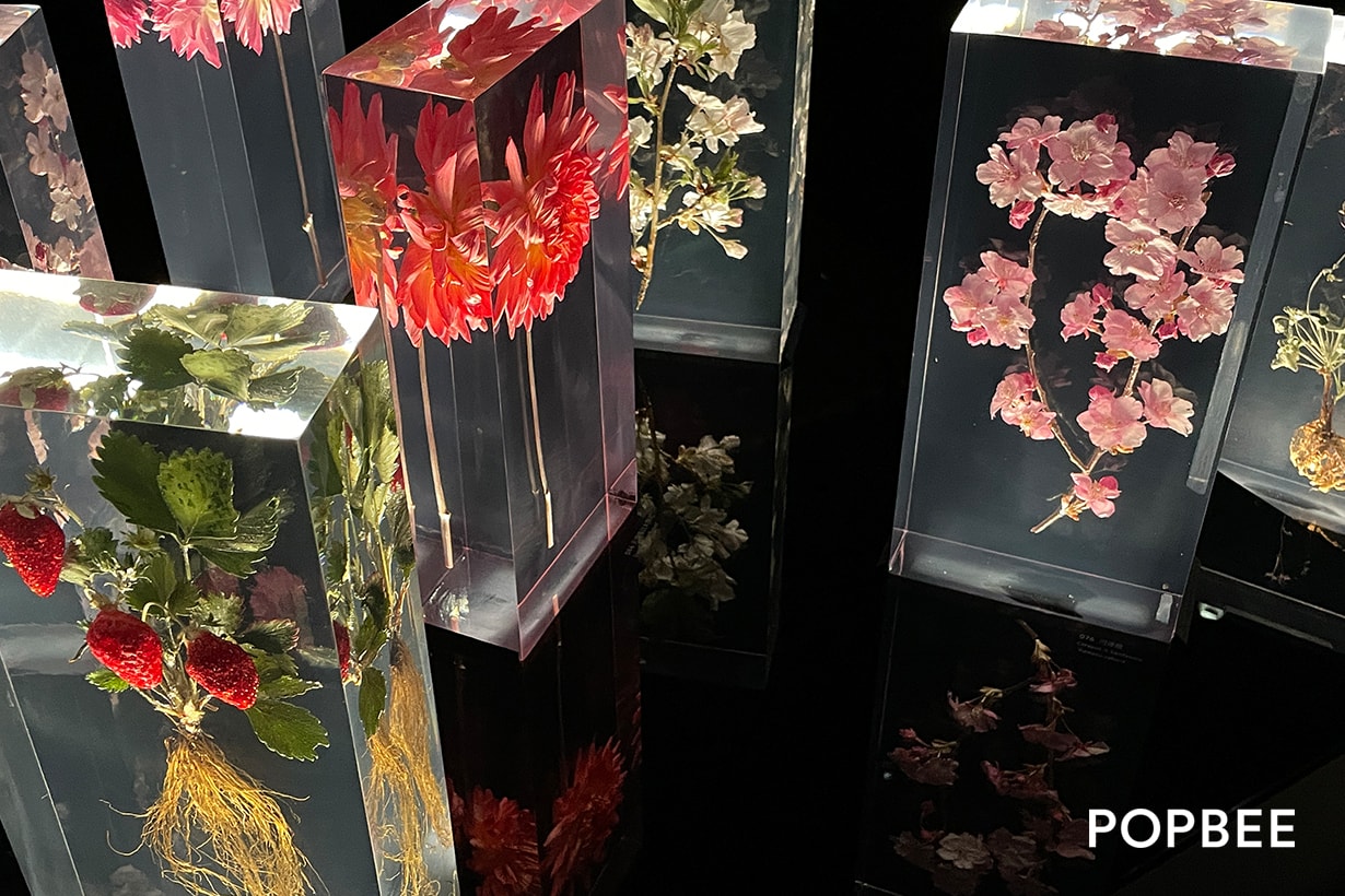 滿滿藝術氣息的台北新地標 :「NOKE 忠泰樂生活」20+ 必訪店鋪＋亮點一次看！ - POPBEE