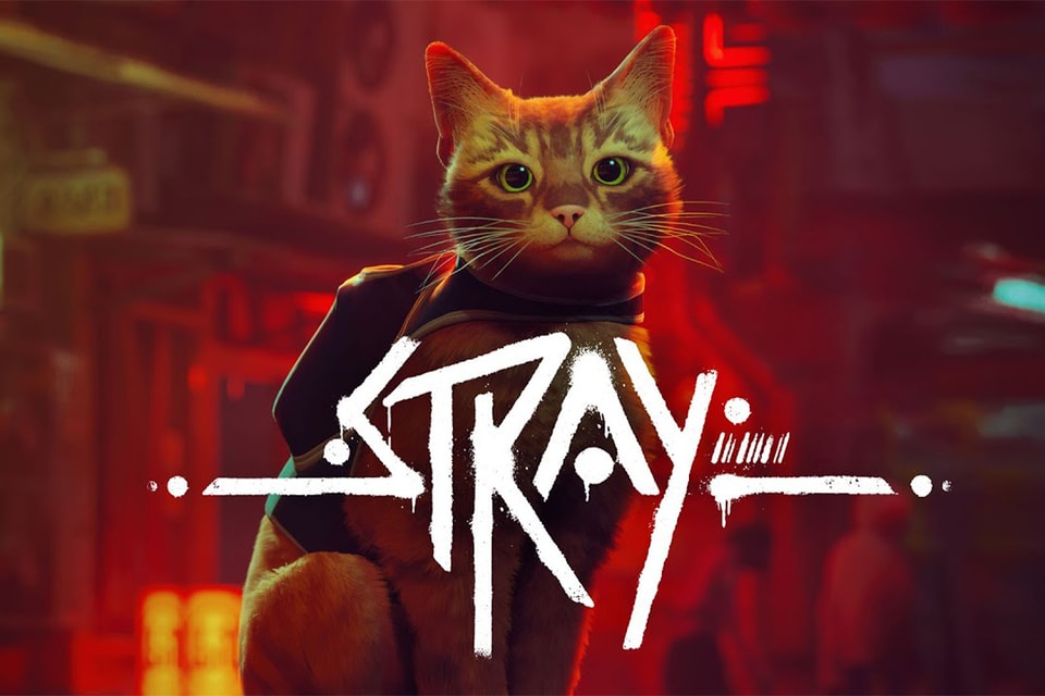 從遊戲到銀幕：《STRAY》改編動畫電影即將面世，原來角色原型來自真實流浪貓！ - POPBEE
