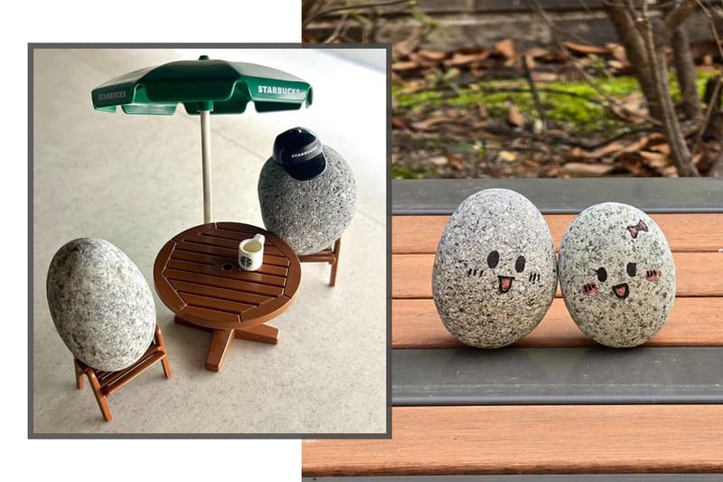 或許養貓狗太花費又花心思，韓國年輕人最近都流行養「寵物石頭」！ - POPBEE