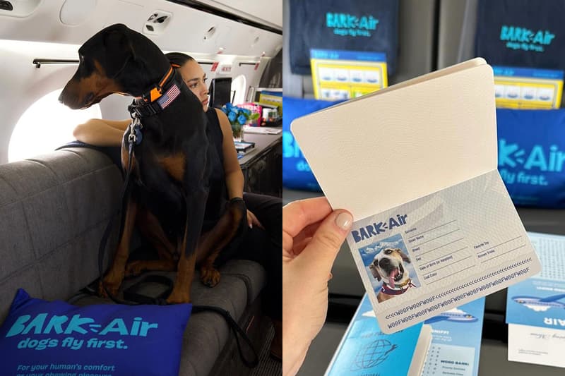 全國首家「狗狗專屬航班」 bark air 5 /23 啟航：超奢華體驗票價 6,000美元！ - POPBEE