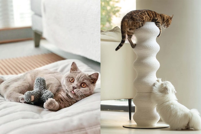 Popbee 編輯部的 IG 追蹤清單：不知道要穿什麼？這 9 個帳號是穿搭靈感寶庫！ - POPBEE