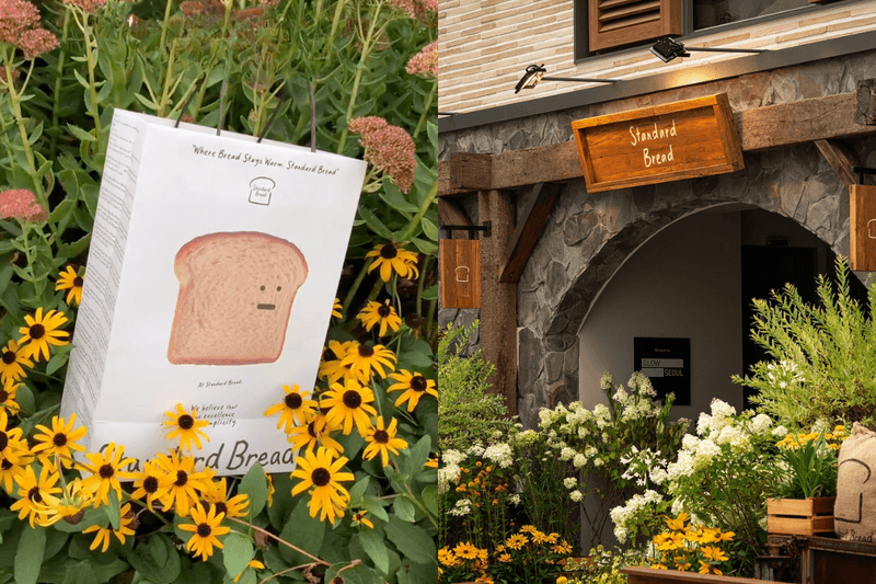 可愛吐司出現在首爾街頭：被韓國女生偷偷收藏的新店 Standard Bread！ - POPBEE