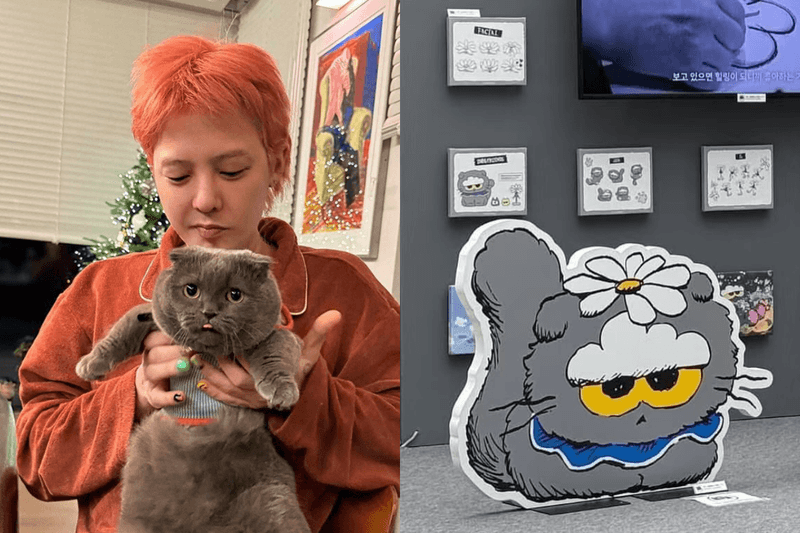 GD 愛貓聯名周邊：厭世灰貓 ZOA 玩偶、小雛菊 A&NE 公仔... ZO&FRIENDS 必買搶先看！ - POPBEE