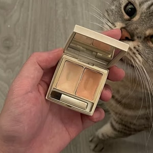 Jellycat 最稀有排行榜 Top 3：你知道娃娃會「退休」嗎？最高漲了近 100 倍！ - POPBEE