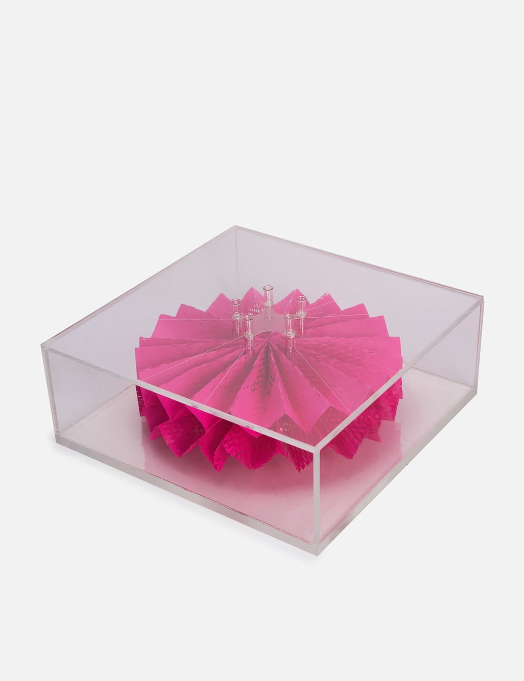 LEXUS IN DESIGN - SUCHI REDDY VESSEL | HBX