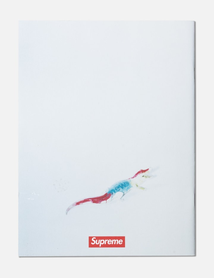 Supreme - Araki X Kiko Mizuhara Booklet | HBX