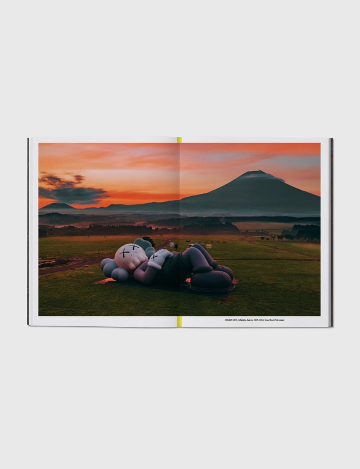 Phaidon - KAWS: What Party (Orange Edition) | HBX - Globally Curated ...