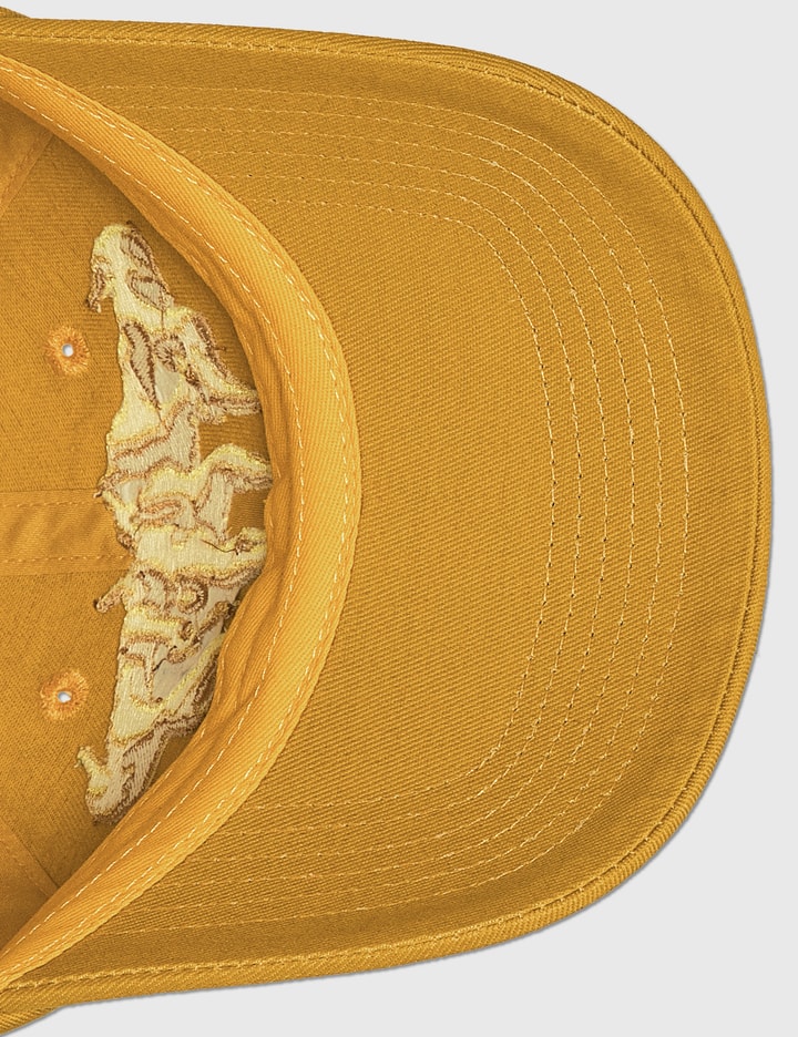 P.A.M. - Taste Like Ginseng And Gestures Embroidery Cap | HBX - 하입비스트가 ...